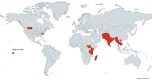 Sapphire vs Ruby vs Emerald - What you choose for your big day?